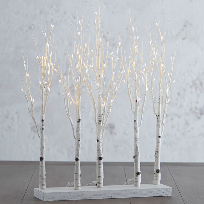 Lighted Birch Tree Forest A Lighted Birch Tree Brings Life To Any